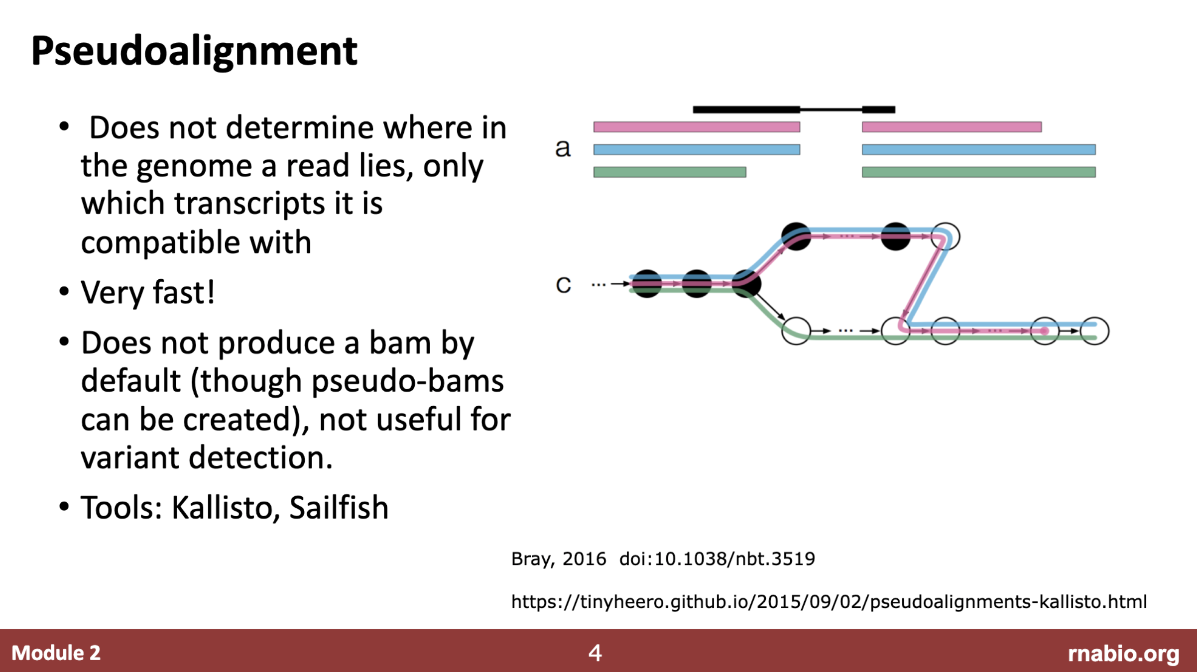 Create Genome Index File To Map Sequencing Data Dewan Shrestha